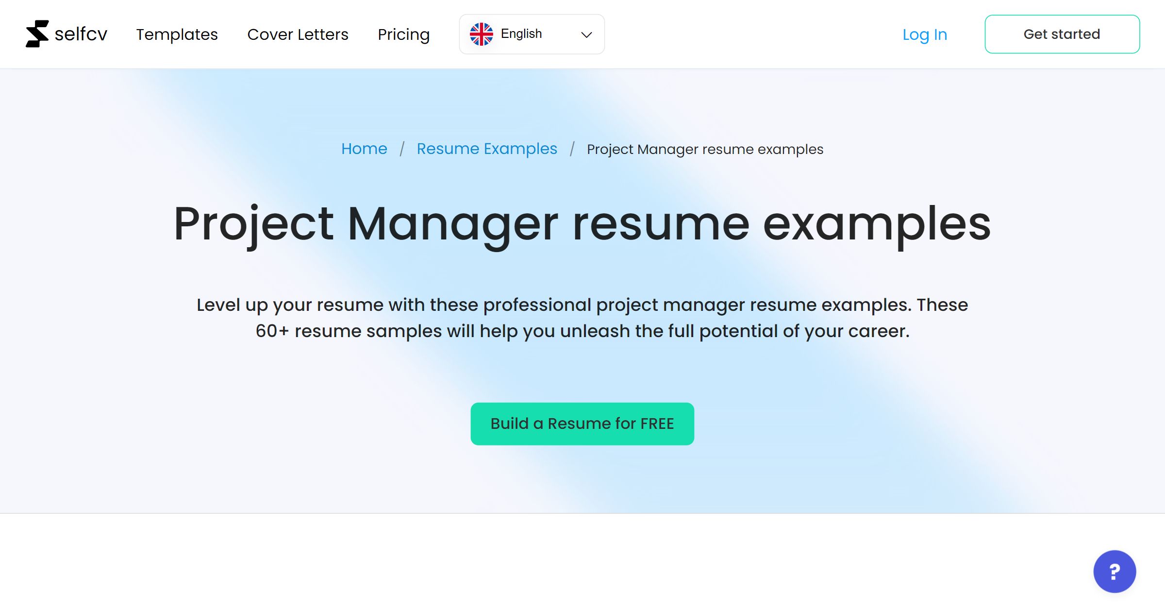 Project Manager resume examples